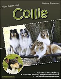 ᐅ Collie (Kurzhaar) | Verhalten, Wesen, Charakter & Haltung